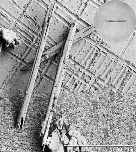 List Of Snowflake Shapes And Patterns