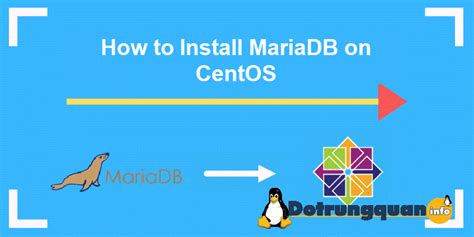Hướng Dẫn Chuyển Mysql Sang Mariadb Trên Directadmin