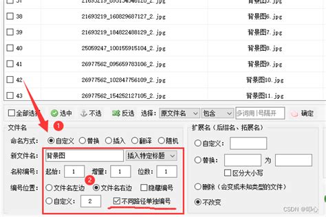 文件重命名技巧：不同路径文件批量重命名并单独编号方法 Csdn博客