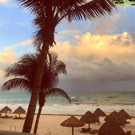 Afton Williamson Gethu Cinema