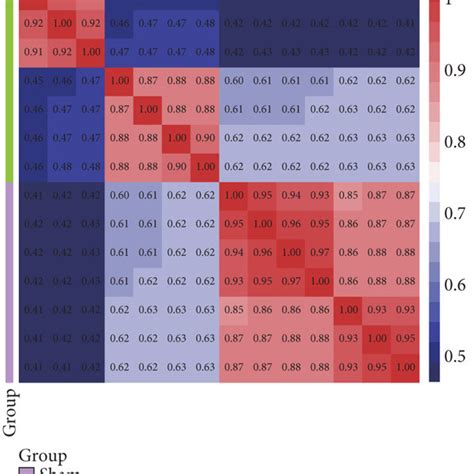 Data Preprocessing And Differential Gene Expression Analysis A