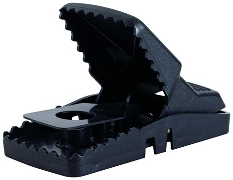 5 Of Be Best Outdoor Rat Traps For A Rodent Free Garden