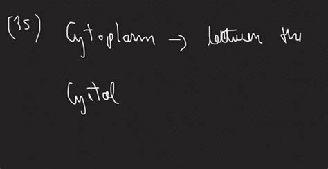 SOLVED What Is The Difference Between The Cytoplasm And The Cytosol