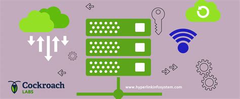 Cockroach Db Unbeatable Database Hyperlink Infosystem