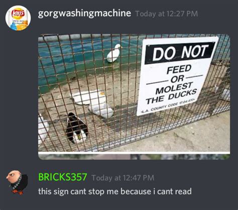 Cursed Duck R Cursedcomments Cursed Duck R Cursedcomments