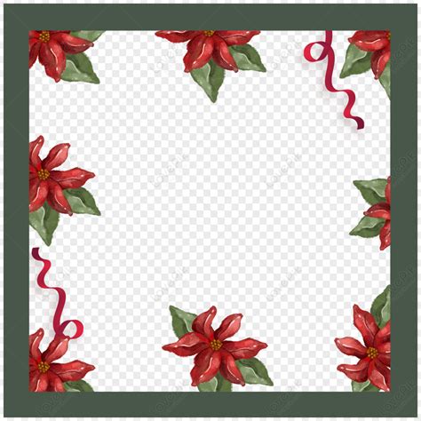 크리스마스 일러스트 일러스트 장식 테두리리스트포인세티아겨울 Png 일러스트 무료 다운로드 Lovepik