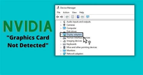 Nvidia Graphics Card Not Detected In Windows 10 Easy Fix Graphic Card Nvidia Knowledge