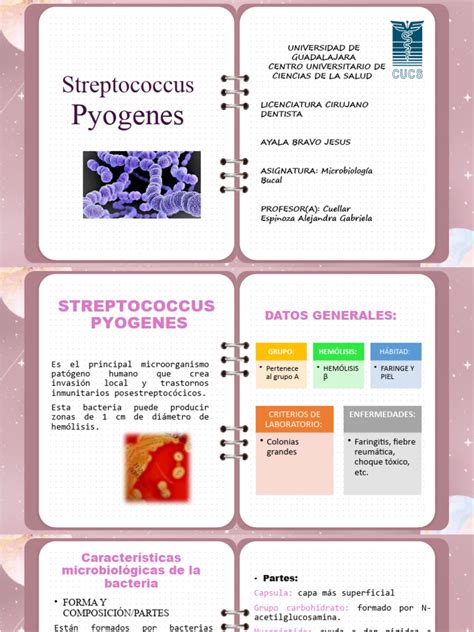 streptococcus pyogenes descargar gratis pdf estreptococo las