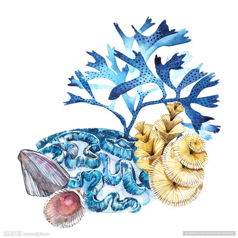 海洋主题插画图案设计图psd分层素材psd分层素材设计图库昵图网