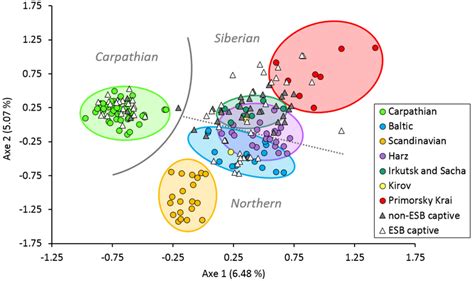Microsatellite Based Genetic Separation Of Wild And Captive Lynxes From Download Scientific