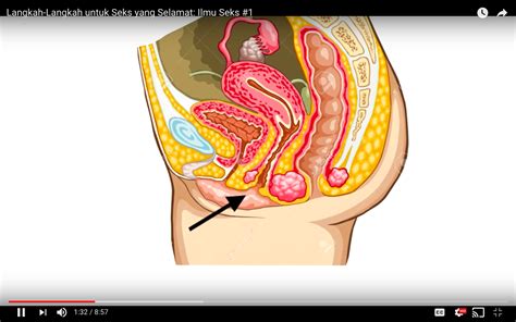 M Sian Millennials Tackle Sex Ed In Conservative Society Via YouTube Channel Mothership SG