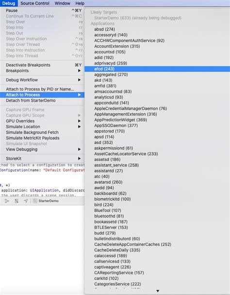 ios how to get the pids of a process running through xcode stack