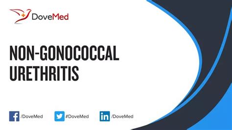 Non Gonococcal Urethritis Dovemed