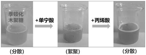 Hydrogel With Wet State Adhesion Property As Well As Preparation Method And Application Thereof