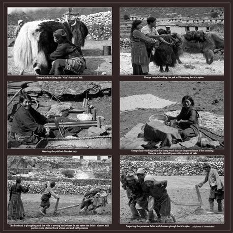 Sherpa Culture Photo Gallery Sherpa Culture Museum Everest