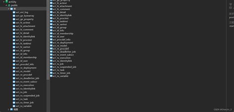Springbootactivity6mybatis Plusdynamic多数据源配置activiti Dynamic