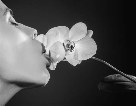 Orchid And Woman Lips Orchid Flower On Sensual Woman Mouth Stock