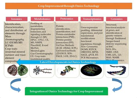 Integration Of Omics Approaches Genomics Transcriptomics