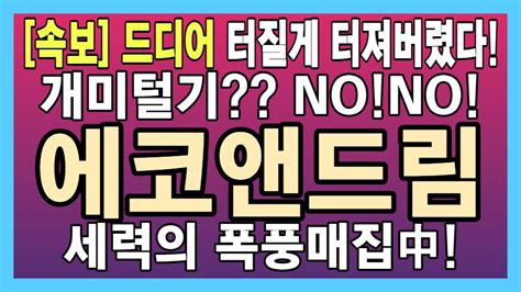 ※에코앤드림※ 긴급속보 터질게 터져버렸다 세력의 폭풍매집중 Youtube