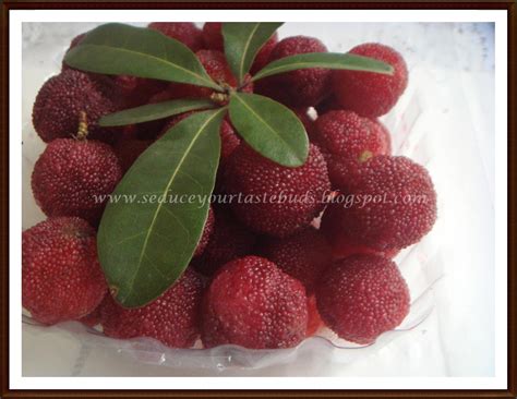 Yangmei Chinese Bayberry Fruit Seduce Your Tastebuds