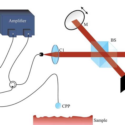 Scheme Of The Cross Polarised Oct System The Axsun Engine With Download Scientific Diagram