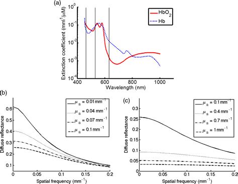 Visible Spatial Frequency Domain Imaging With A Digital Light