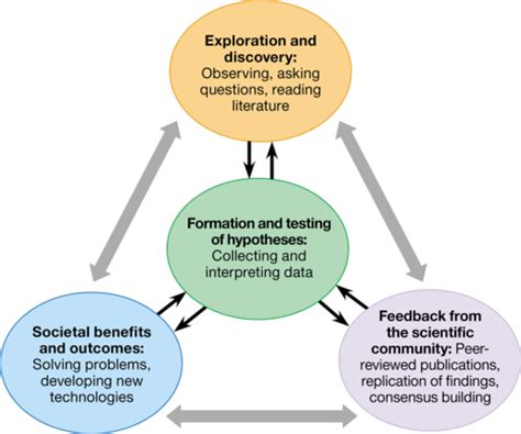 Biol 101 Quiz 1 Lessons 1 3 Flashcards Quizlet
