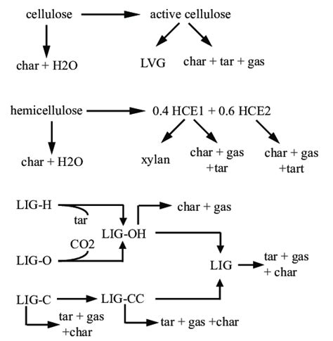 Illustration Of The Biomass Pyrolysis Scheme Developed In Download Scientific Diagram