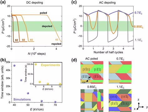 Revolutionizing Piezoelectric Material Restoration For Advanced Ultrasound Technologies
