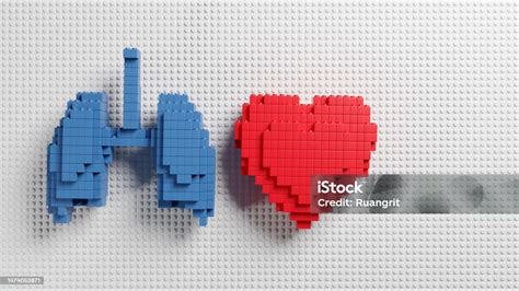 심장과 폐 벽돌 아이 장난감의 모양 평면도 3d 렌더링 0명에 대한 스톡 사진 및 기타 이미지 0명 개념 개념과 주제 Istock