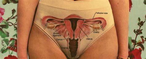 Does The G Spot Really Exist ScienceAlert