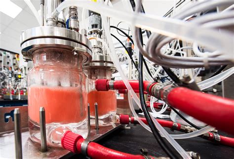 Nsf To Invest In Global Center Focused On Adopting Biofoundry