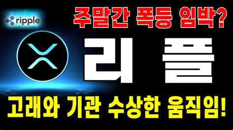 리플 코인 전망 폭등 준비하세요 고래와 기관들의 움직임 심상치 않다 리플코인 Xrp 리플전략 리플코인전망 Youtube