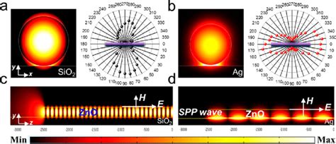 Measured Polarization Distribution And Simulated Electric Field Download Scientific Diagram