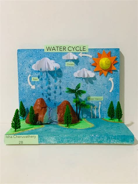 Water Cycle Primary Printables Erin