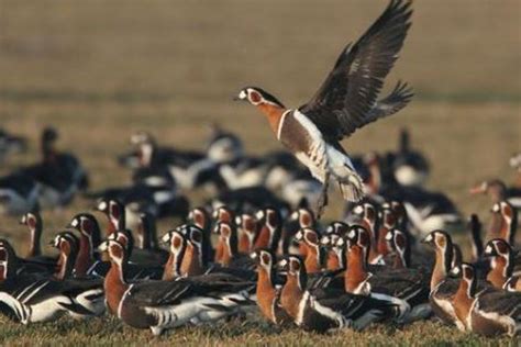 Изплатени са още 18 млн лева по мярка 10 „Агроекология и климат По света и у нас БНТ Новини