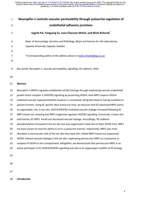 Adherens Junctions Vascular Permeability At David Velasquez Blog