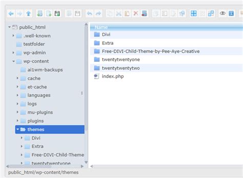 How To Manually Replace A Wordpress Theme Or Plugin File Tutorial By Pee Aye Creative