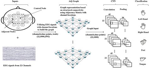 Frontiers Revealing Brain Connectivity Graph Embeddings For Eeg