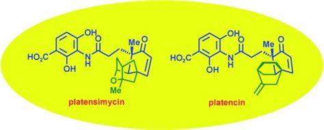 Discovery And Syntheses Of Superbug ChallengersPlatensimycin And Platencin Palanichamy
