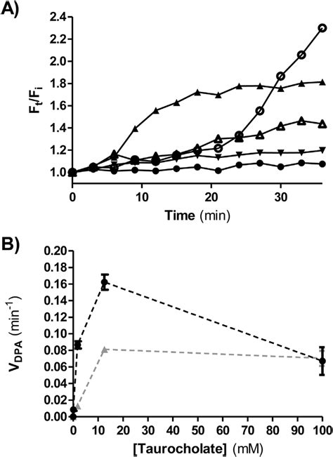A Kinetics Of Cadpa Release From Heat Activated Spores Of The Alcd3 Download Scientific