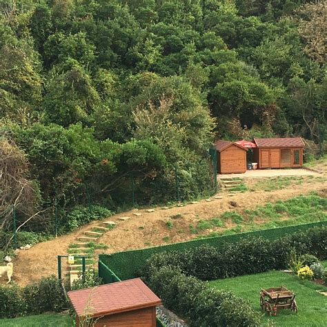 Adaa Beach Qué Saber Antes De Ir Actualizado 2025