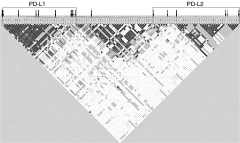 pattern of ld according to hapmap data dark grey