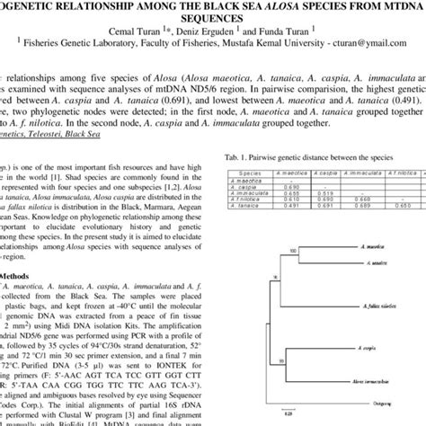 Minimum Evolution Phylogenetic Tree For Nd56 Bootstrap Values Are