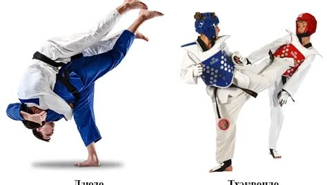 တိုက်ကွမ်ဒိုနှင့် ဂျူဒို ကွာခြားပုံ ဘယ်ဟာ ပိုကောင်း 1xmatch