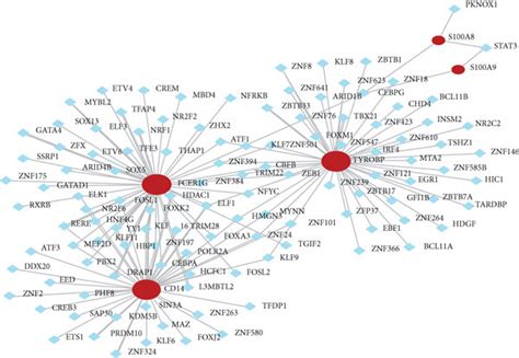A The Expression Of Five Hub Immune Related Genes Calculated By The Download Scientific