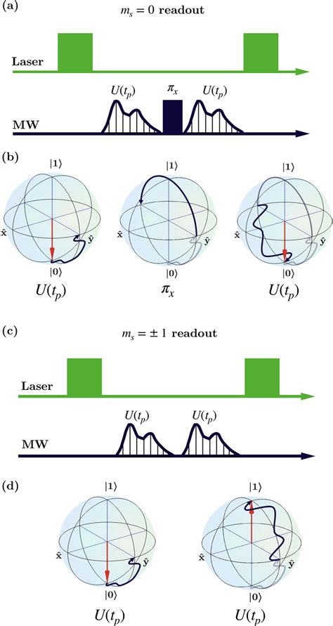 Exemplary Measurement Protocol For The Ramsey Sequence Optimization