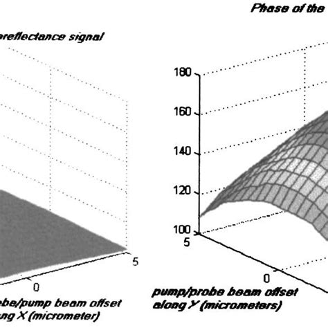 Nomarski Interferometer ͑ 1 ͒ Download Scientific Diagram