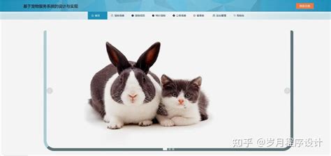 开题报告 Java计算机毕业设计基于宠物服务系统的设计与实现（附源码） 知乎