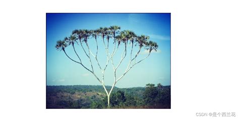 树和二叉树 数据结构结点的度 一个结点含有的子树的个数称为该结点的度。 叶结点 度为0的结点称为叶 Csdn博客